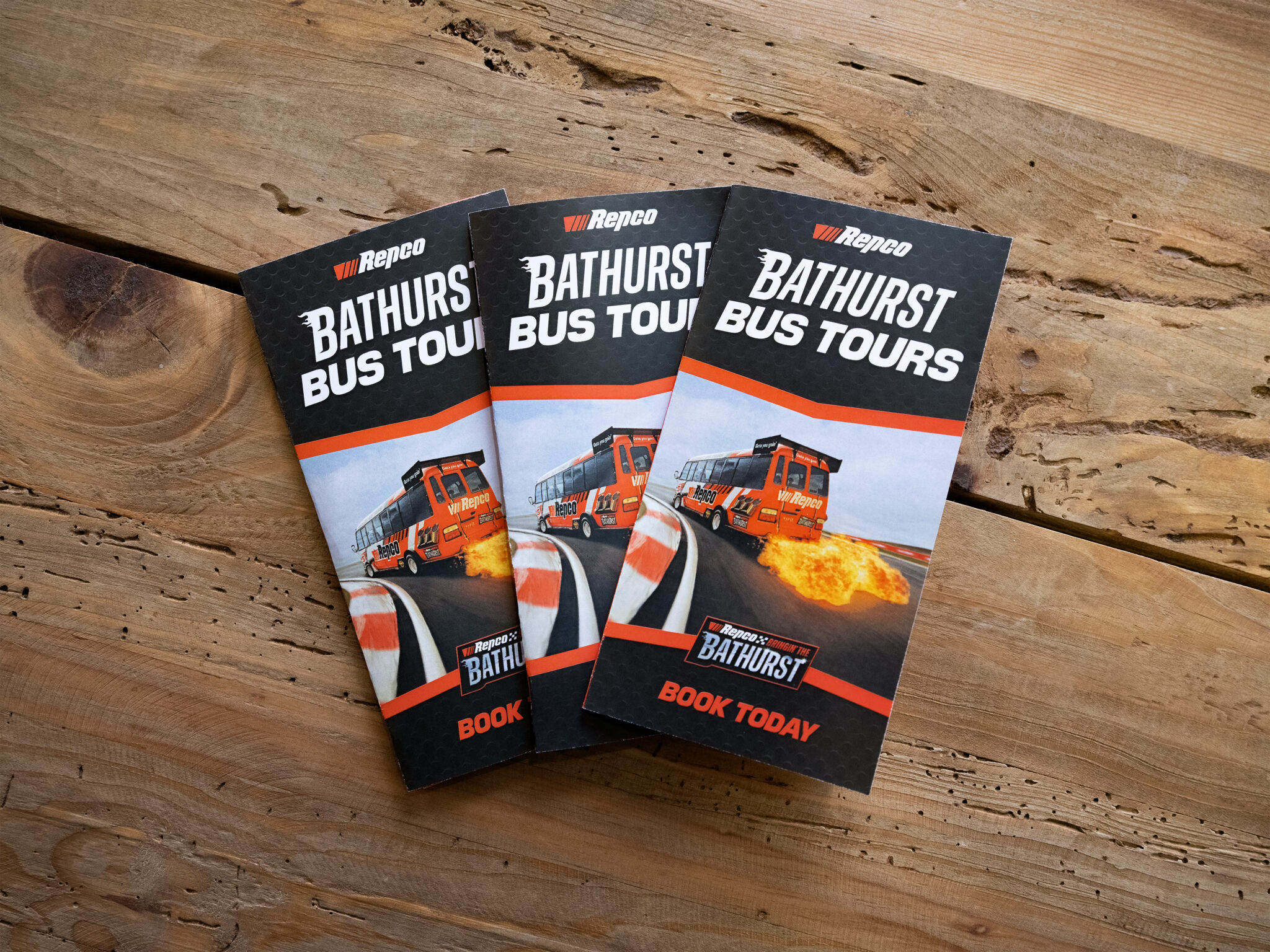 Buckle up for Bathurst Bus Tours - Thinkerbell
